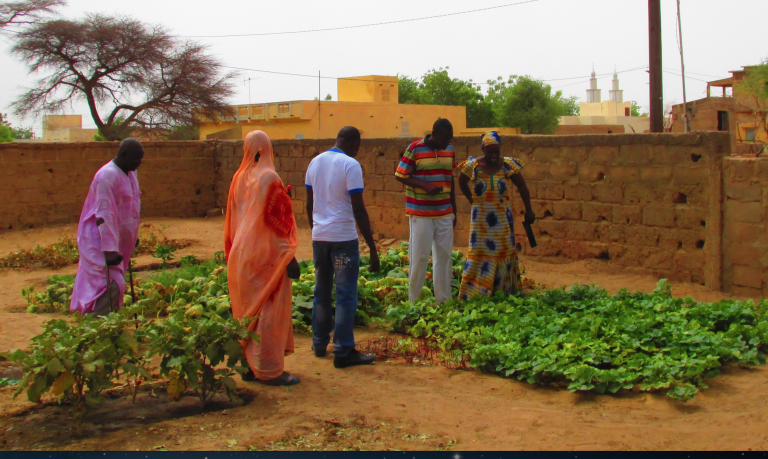 InterAction's Global Food Security and Nutrition Pledge Results ...