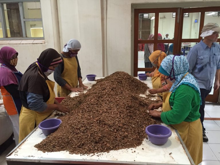 Creating economic opportunities in Indonesia through a new project to ...