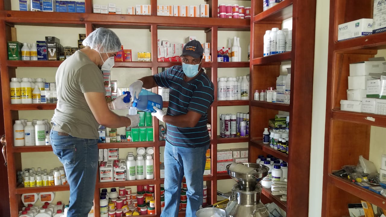 For dairy producers in the Dominican Republic, higher quality milk ...