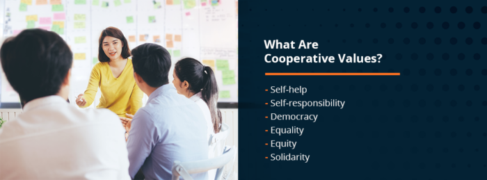 7 Cooperative Principles - Values of a Co-op | NCBA CLUSA