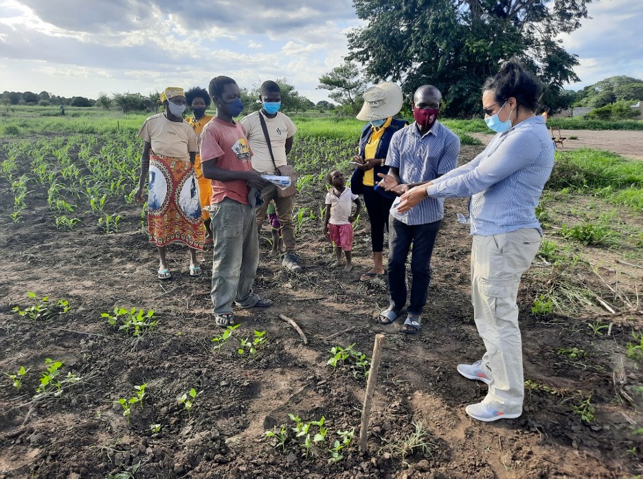New data collection tool is improving resilience for smallholder farm ...